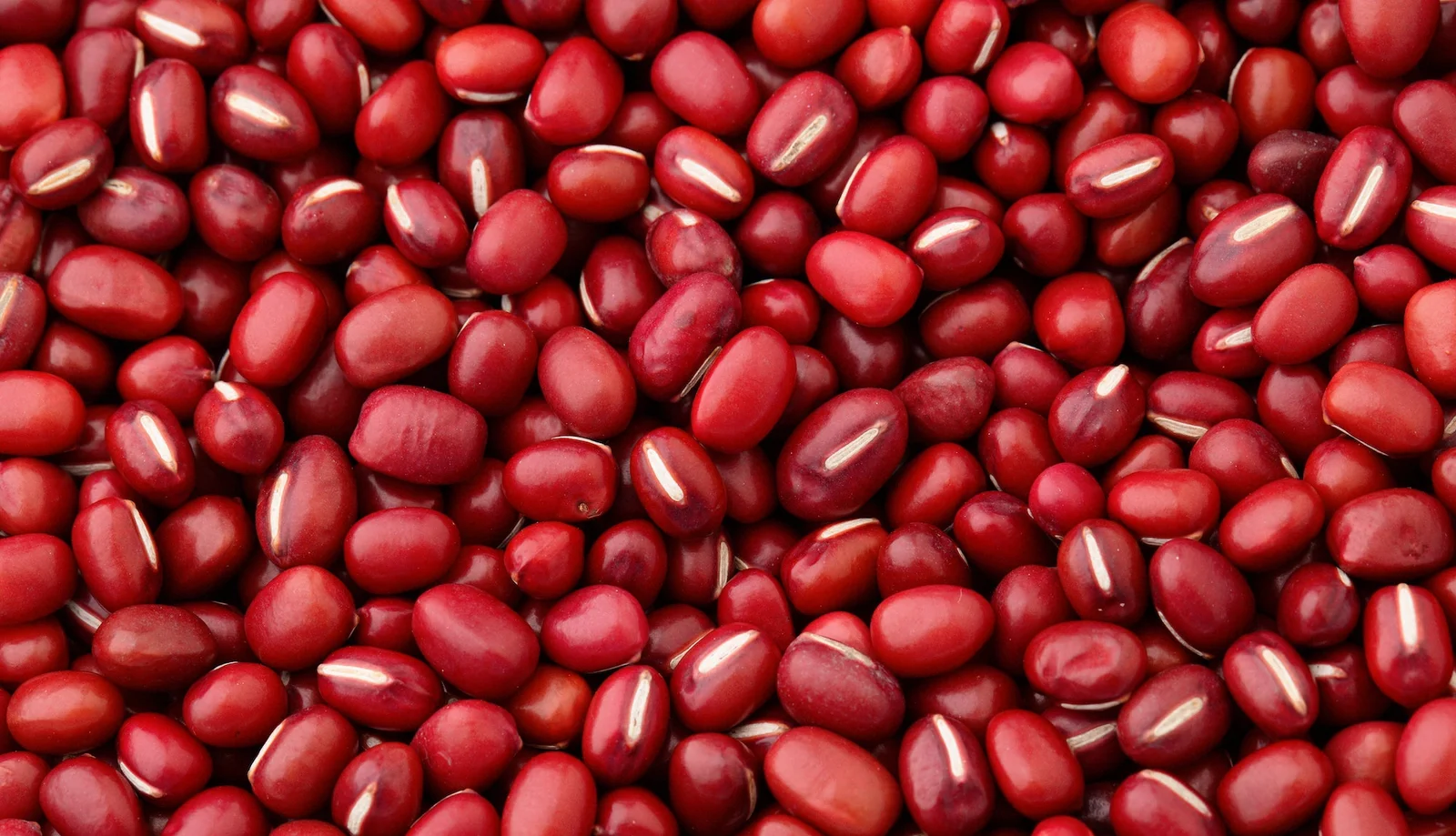 How To Cook Beans In A Rice Cooker